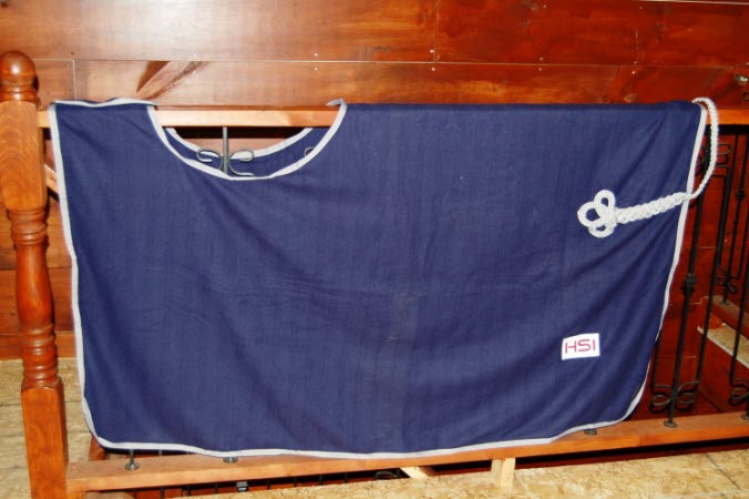 Horse Quarter Sheets